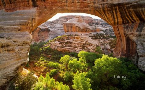 Landscape Desert Bing Trees Arch P Rock Sunlight Nature Hd