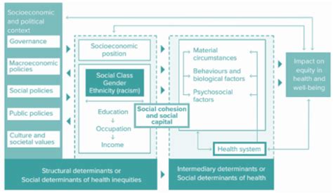 Nurs W Social Determinants Of Health Flashcards Quizlet