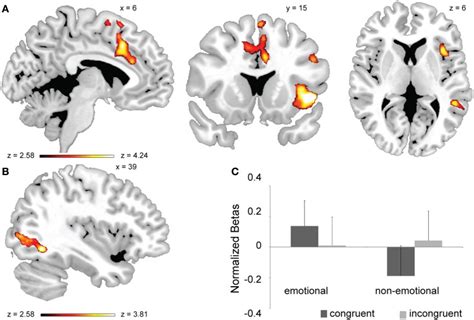 neural substrates of general conflict processing and its interaction download scientific