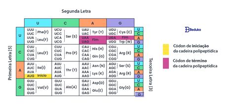 Tabela Do Codigo Genetico Braincp