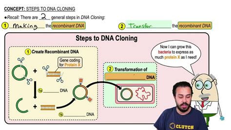Gene Cloning Steps