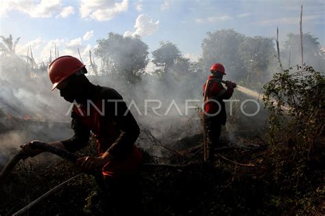PEMADAMAN KEBAKARAN LAHAN GAMBUT DI RIAU ANTARA Foto