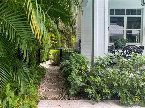 No Grass Backyard Ideas That Are Still Lush