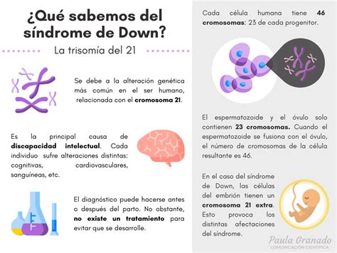 Caracteristicas Del Sindrome De Down