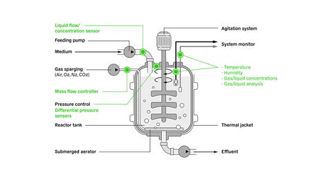 Stirred Tank Bioreactor Diagram Vector Illustration Stock 46 OFF