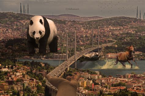 Manip Lasyon Nedir Photoshop Manip Lasyon Teknikleri Nelerdir Yolabak