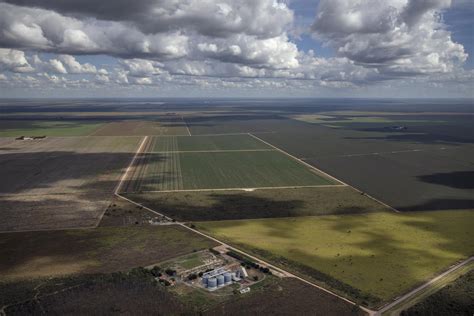 Desmatamento No Cerrado Se Concentrou No Matopiba Greenpeace Brasil