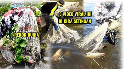 Jala Ikan Di Sungai Besar Dan Pertama Di Dunia Dapat Kg Youtube