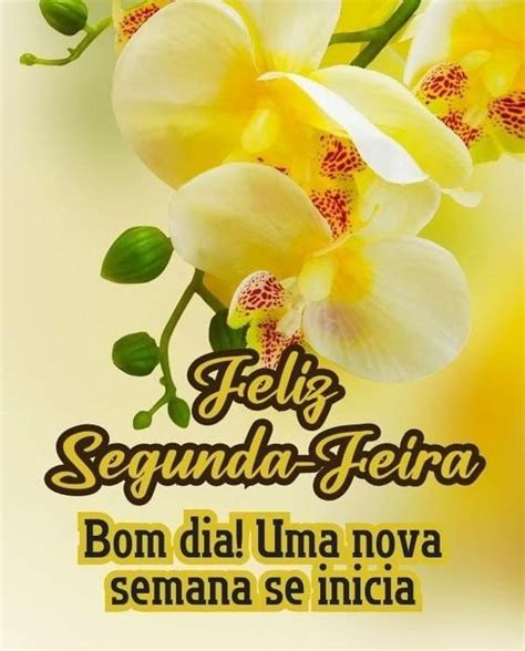 Imagens De Feliz Segunda Feira Mensagens Para Semana Napy