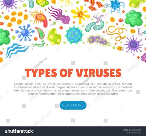 Types Viruses Web Banner Microbiology Virology Stock Vector Royalty