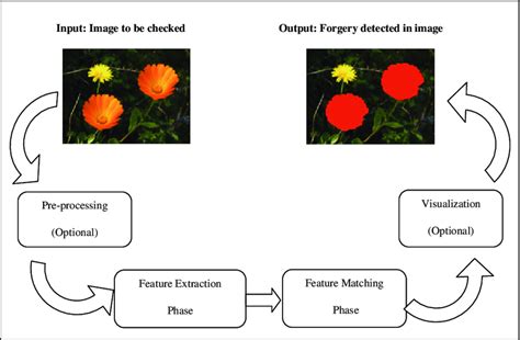common workflow of copy move forgery detection techniques download scientific diagram