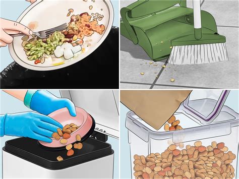 7 formas de saber la diferencia entre excremento de ratón y rata
