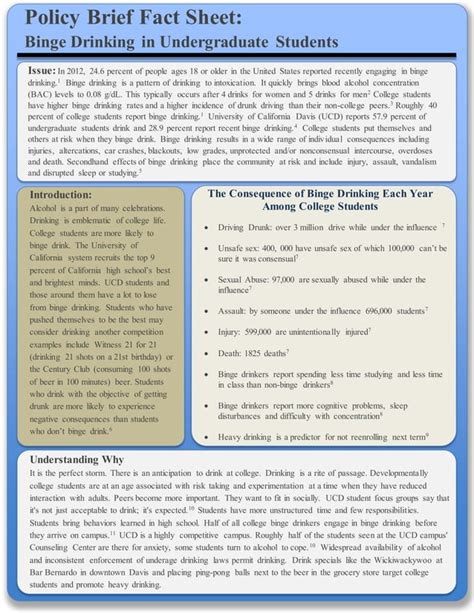 Policy Brief Fact Sheet Binge Drinking PDF
