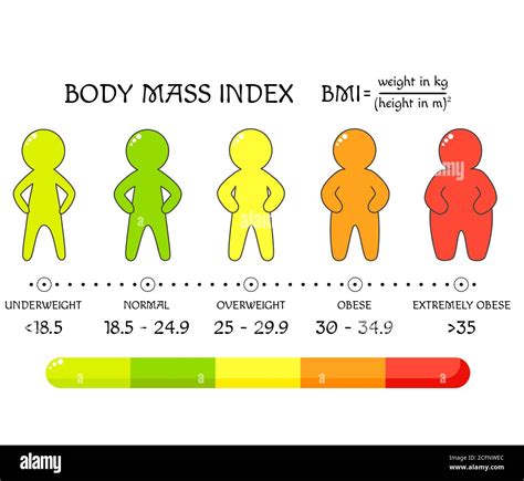BMI Concept Body Shapes From Underweight To Extremely Obese Weight