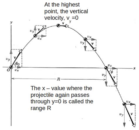 projectile motion graph