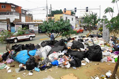 Ante acumulación de basura en Oaxaca exhiben a cochinos en redes