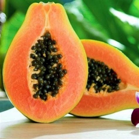 Papaya Ağaç Kavunu Tohumu 10 Tohum Nadir Bulunan Tohum Çeşitleri
