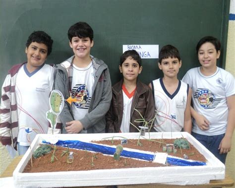 Maquetes Biomas Do Brasil Instituto Noroeste De Birigui