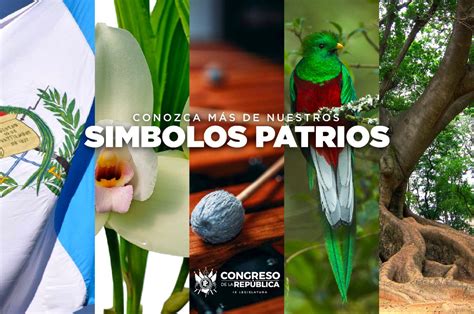 Result Images Of Simbolos Patrios De La Identidad Nacional Png