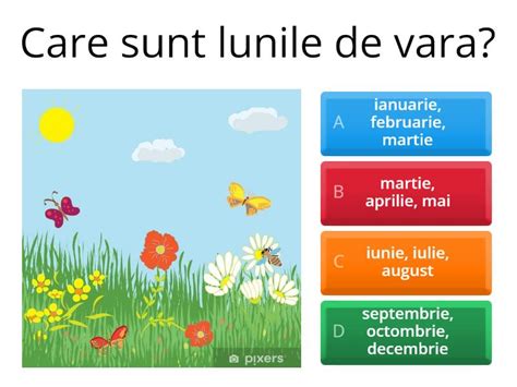 Test De Evaluare Finala Grupa Mare Quiz