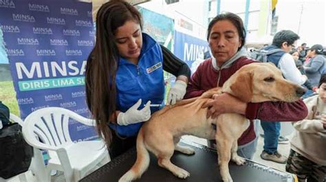 Más de 3 millones de canes vacunados tras el desarrollo de la campaña