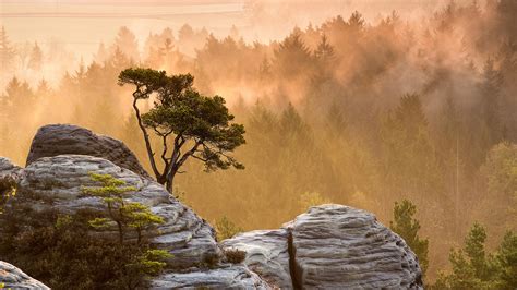 Wallpaper Sunlight Trees Landscape Forest Mountains Sunset Rock
