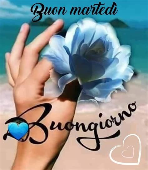 Pin Di Paler Constanta Su Hfwgihcd Buongiorno Marted Buongiorno