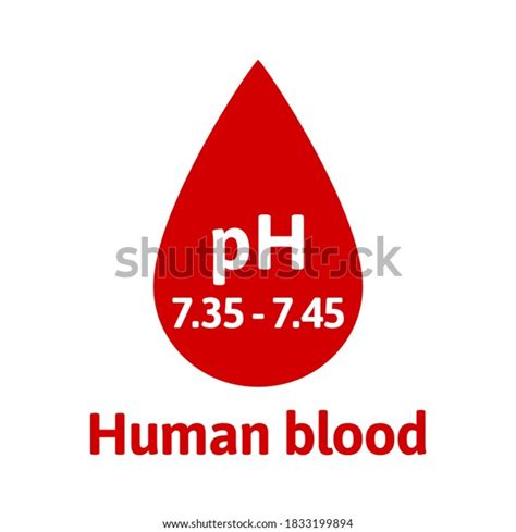 13 Level Human Blood Ph Range Images Stock Photos And Vectors