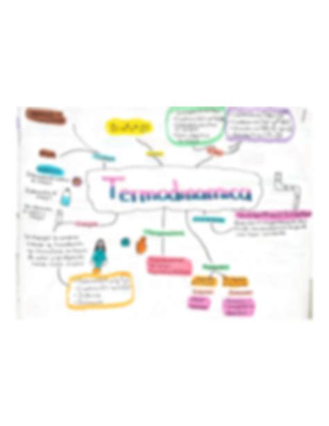 Termodin Mica Termodin Mica Mapa Mental M Todos De Ensino The Best