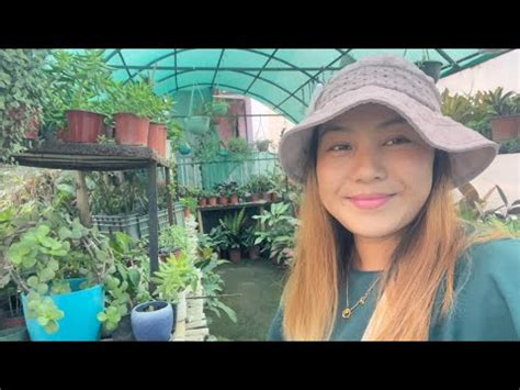 Flower Plant Nursery Visitaaja Kehi Ful Ko Biu Ra Ful Lina Nursery Maa