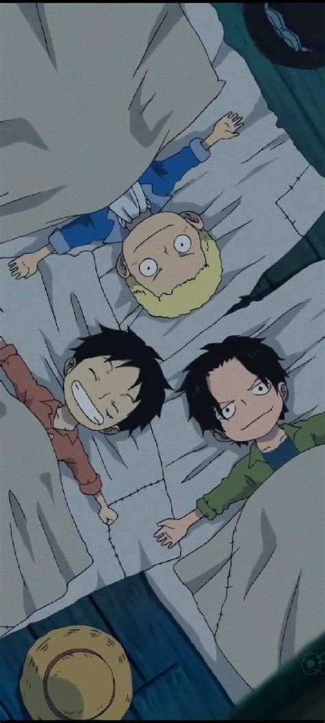 One Piece Brothers Anime Fire Fist Ace Luffy One Piece Aesthetic