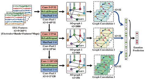 frontiers cross subject eeg emotion recognition with self organized graph neural network