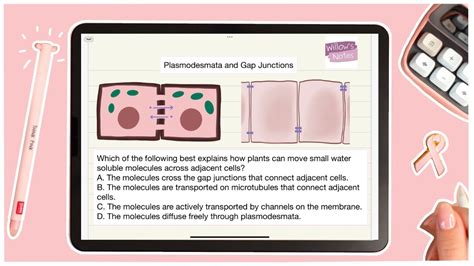 Cell Signaling Cell Junctions Plasmodesmata And Gap Junctions AP