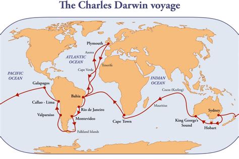 Il Viaggio Di Darwin All Origine Della Specie Focus It