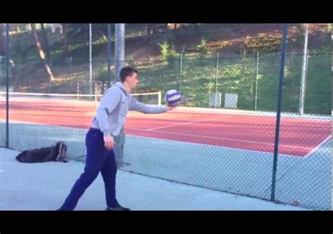 Saque Bajo Del Voleibol Todo Lo Que Necesita Saber Sobre L