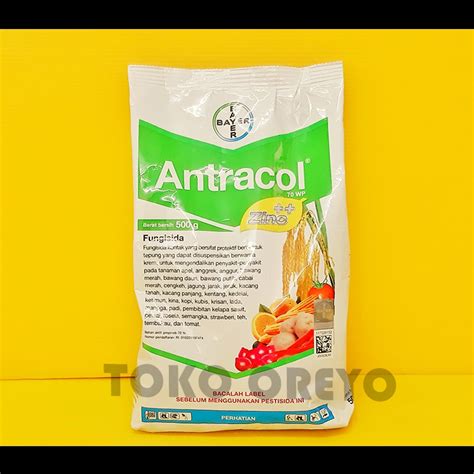 Jual FUNGISIDA ANTRACOL 70 WP ZINC KEMASAN PABRIK 500 GRAM Shopee