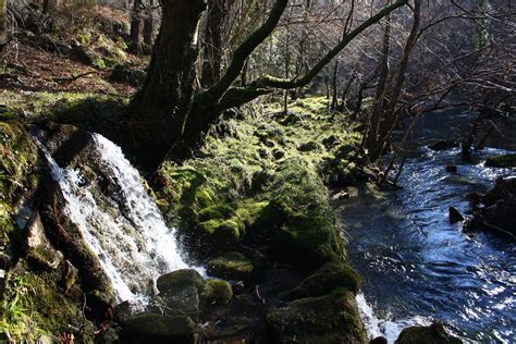 Images Gratuites arbre eau la nature forêt Roche cascade
