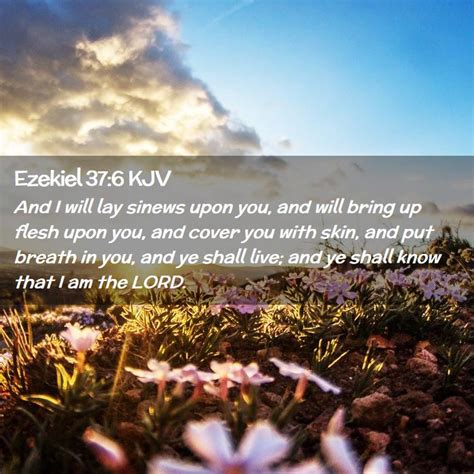 Ezekiel 37 6 KJV And I Will Lay Sinews Upon You And Will Bring Up