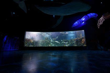 Ciudad de México Ticket de entrada al Acuario Inbursa con opción de RV