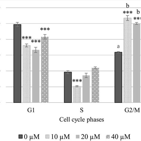 Cell Cycle Analysis Percentage Of Cells In Cell Cycle Phases After 24