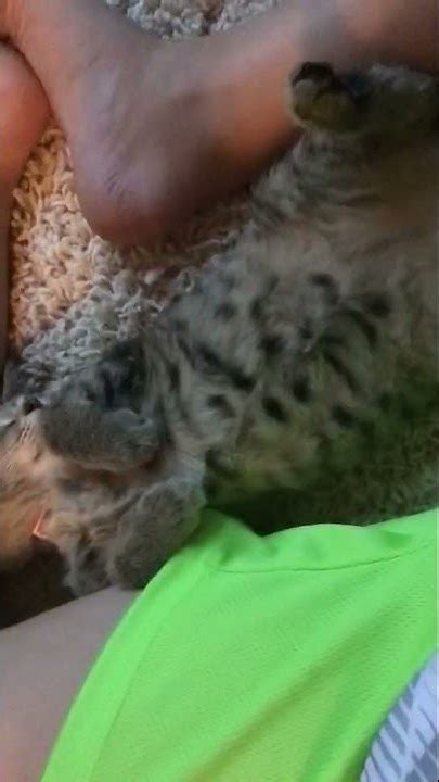 So Adorable🥰🥰🥰 Youtube