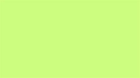 Solid Light Yellow Background
