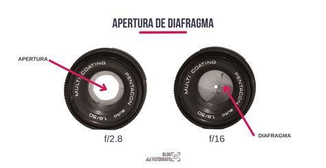 Cómo Desenfocar el Fondo de Una Foto Tutorial Paso a Paso Blog