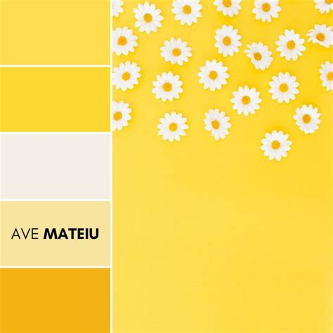 Summer Color Palettes And Hex Codes Ave Mateiu Summer Color