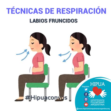 Álbumes 102 Foto Ejercicios De Respiración De Google El último
