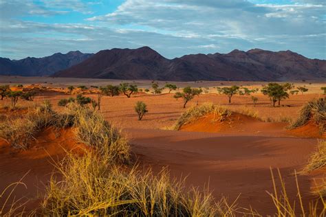 Discovering NAMIBIA Comprehensive Namibia Travel Guide