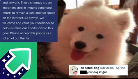 2023 Imgur Nsfw Ban Old Content Purge Video Gallery Know Your Meme