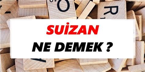 Suizan ne demek ne anlama gelir TDK sözlük anlamı nedir Suizanda