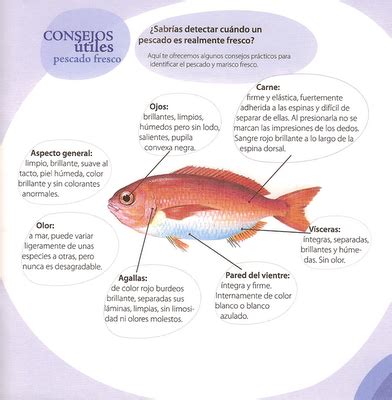 EMS SOLUTIONS INTERNATIONAL Marca Registrada COMO RECONOCER EL PESCADO