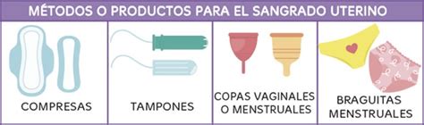 El ciclo menstrual qué es y etapas